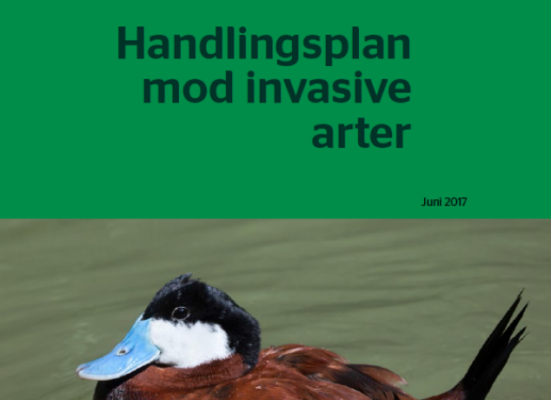 Planerne for de invasive arter i Danmark – Institut for Jagt